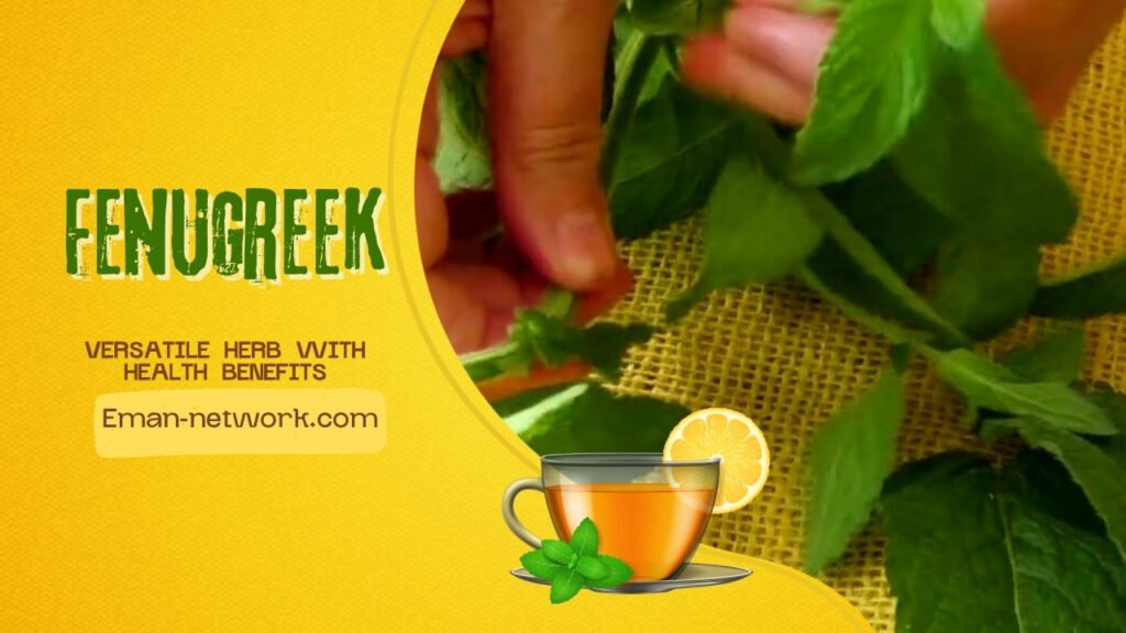 Fenugreek - A Versatile Herb with Health Benefits & Culinary Uses